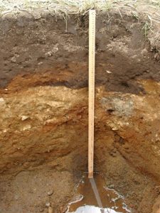 Podzols | Soil LUI Tool